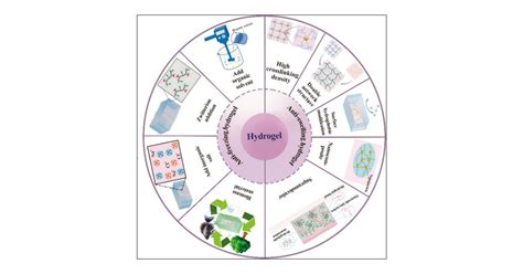 Antifreezingantiswelling Hydrogels Synthesis Strategies And