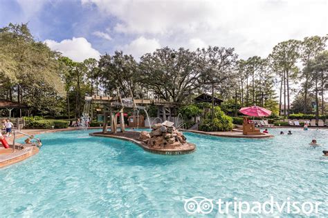 Fotos Y Opiniones De La Piscina Del Disneys Port Orleans Resort