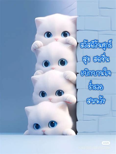 ปักพินโดย 💫💙mustjai Taurus💙💫 ใน วันศุกร์ ในปี 2024 สุขสันต์วันศุกร์ สวัสดีตอนเช้า อรุณสวัสดิ์