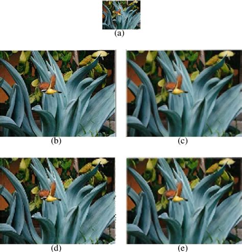 figure 6 from super resolution through neighbor embedding semantic