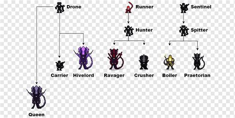 The Crew Chunk Video Game Others Game Angle Text Png PNGWing