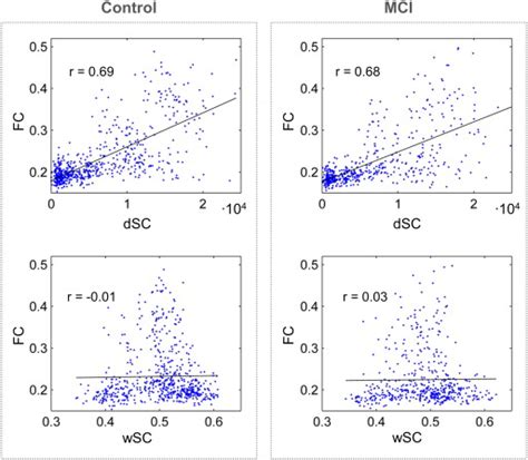 Relation Between Structural And Functional Connectivity Functional Download Scientific Diagram