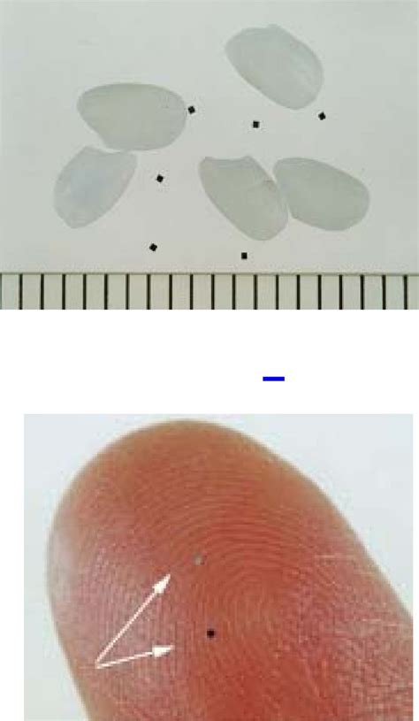 Sage Business Cases The MU Chip