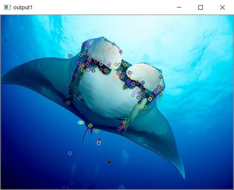 opencvsharpでakazeを用いて特徴量を検出する c qiita