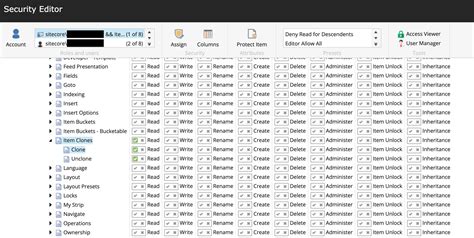 security which permissions roles are required for item cloning