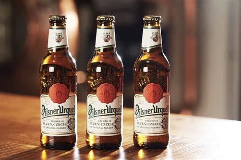 Pilsner Beer Brands At Angelica Mullins Blog