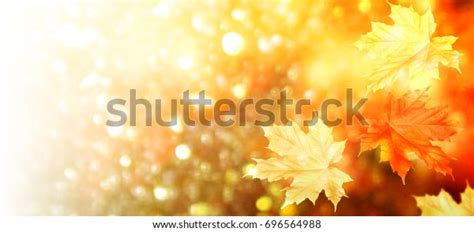 밝은 다채로운 단풍이 있는 가을 풍경인도 스톡 사진지금 편집 696564988