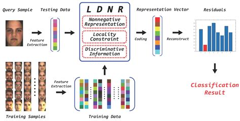 Mathematics Free Full Text Locality Constraint Discriminative Nonnegative Representation For