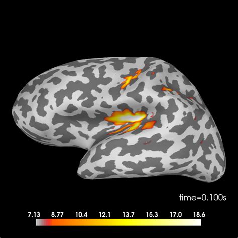 working with ctf data the brainstorm auditory dataset — mne 0 23 4