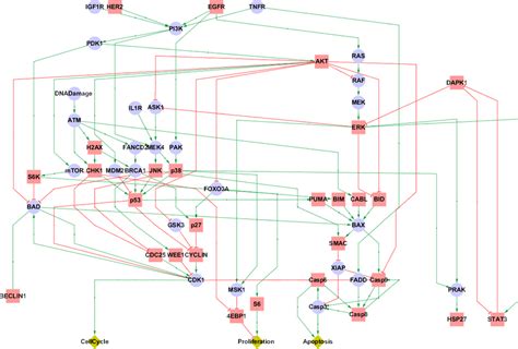 Pathway Information Extracted From Genego Metacore Database Signaling Download Scientific