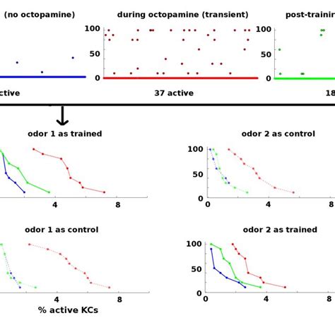 Schematic View Of The Main Olfactory Pathways In The Honey Bee Brain