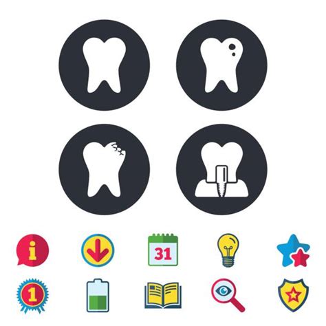 100 Endosperm Stock Illustrations Royalty Free Vector Graphics And Clip