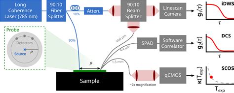 Comparison Of Diffuse Correlation Spectroscopy Interferometric