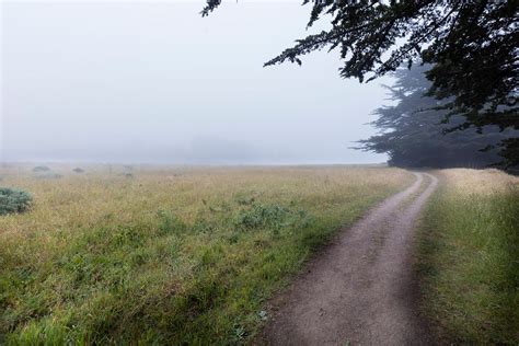 Cucumbers And Cannabis From Sex Ed To The Icu By Critically Stable