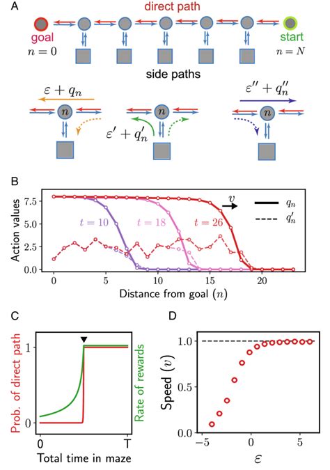 Wave Like Reinforcement Propagation During Sequence Learning On Download Scientific Diagram