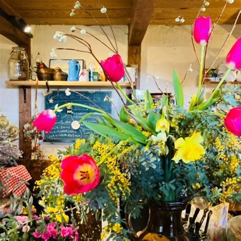 𝒩𝒪𝑅𝐼 §þï†z♡ Miffy 720 • Threads Say More