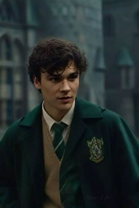 Chat With ★ Mattheo Riddle Enjoy Free Ai Character Roleplay