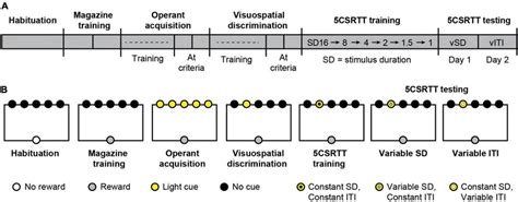 The Five Choice Serial Reaction Time Task 5csrtt Measures Attention