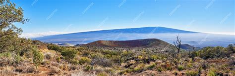 Premium Photo The Worlds Largest Volcano Mauna Loa In Hawaii Big