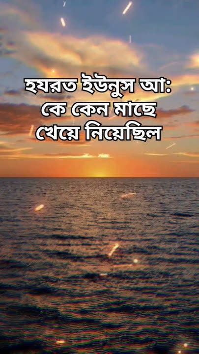 হযরত ইউনুস আ কে কেন মাছে গিলে নিয়েছিল। Islamicstory Youtube