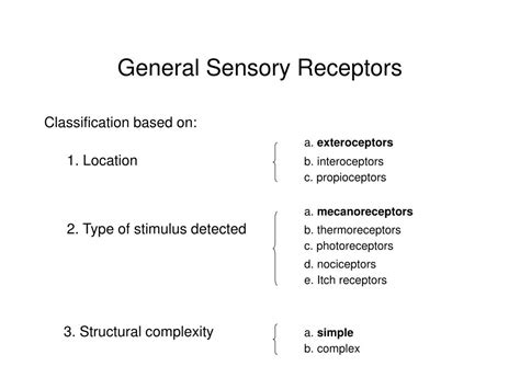 Ppt Sensorimotor Prediction And Memory In Object Manipulation J