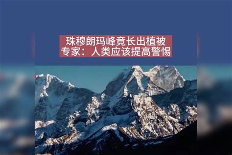 珠穆朗玛峰居然长草了！专家：人类应该提高警惕，这到底怎么回事？ 人类 珠穆朗玛峰