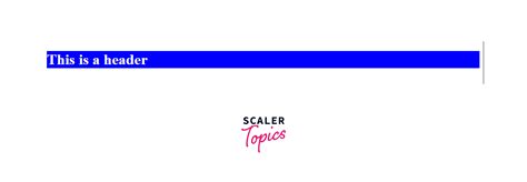 What Is Style Attribute In Html Scaler Topics