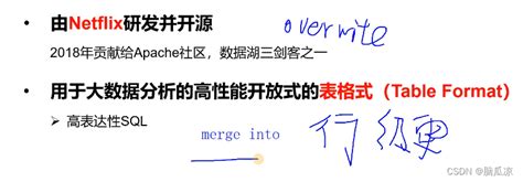 Iceberg数据湖介绍高表达sql完整模式演化时间旅行和回滚隐藏分区数据压缩合并 大数据之数据湖框架apache