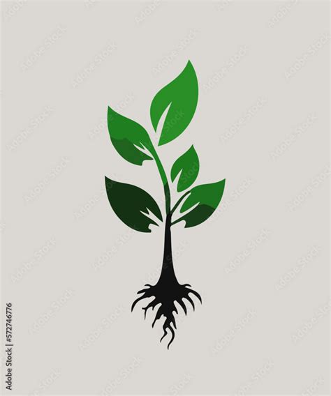 Vector Illustration Of Tree Silhouette With Foliage And Roots Stock Vector Adobe Stock