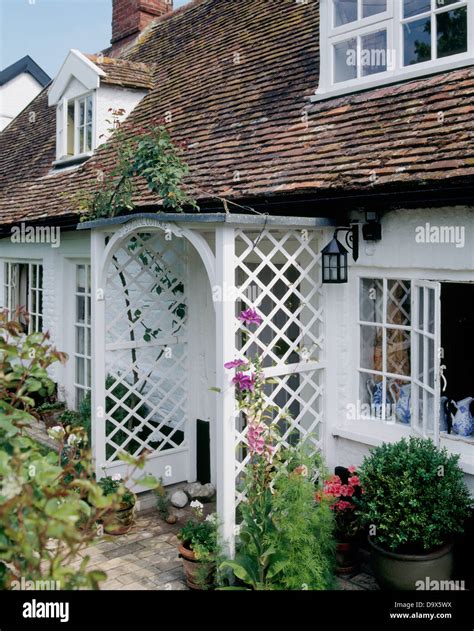 Window Trellis Design