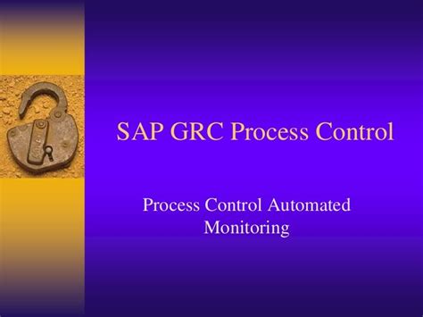 Sap Grc Process Control 100