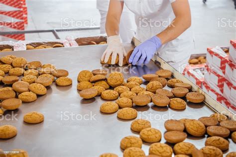 제과 노동자 정렬 및 스테인레스 스틸 테이블에 귀리 비스킷 포장 식품 가공 공장에 대한 스톡 사진 및 기타 이미지 식품 가공 공장 쿠키 생산 라인 Istock