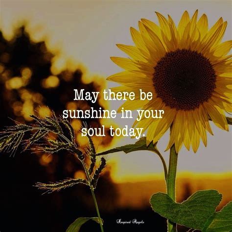 Amanda Post Posted On Linkedin