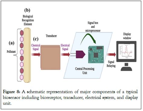 Exploring The Potential Of Genetically Engineered Whole Cell Biosensors