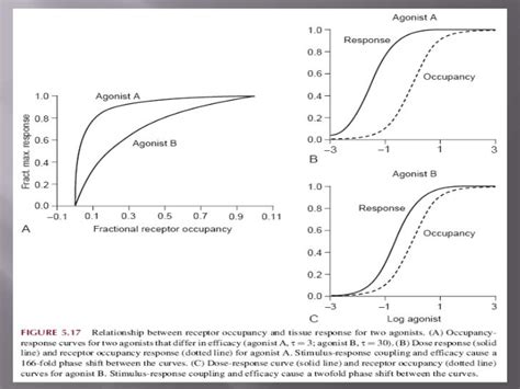 Affinity And Efficacy