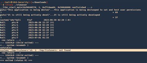 [c] Exploiting System Calls In C And Command Injection Vk9 Security
