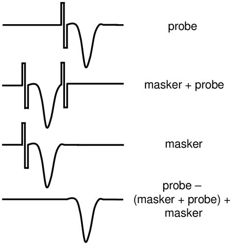 2 representation of the mathematical procedure of the forward masking