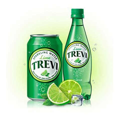 롯데칠성 트레비 라임 355mlx6 배민스토어