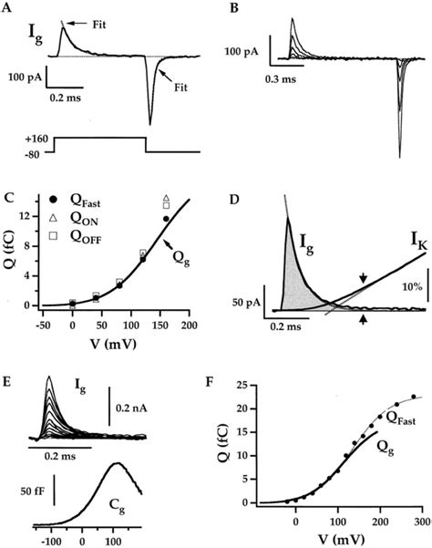Mslo Gating Current A Mslo Ig Evoked In Response To A 05 Ms Pulse Download Scientific