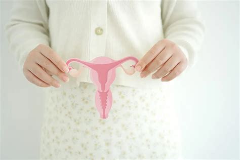 Breaking Down The Leep Procedure What To Expect Before During And