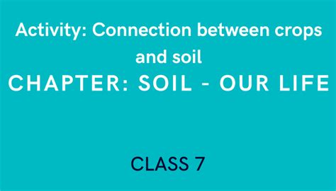 Preparing A List Of Examples For Muscular Force In Force Class 8