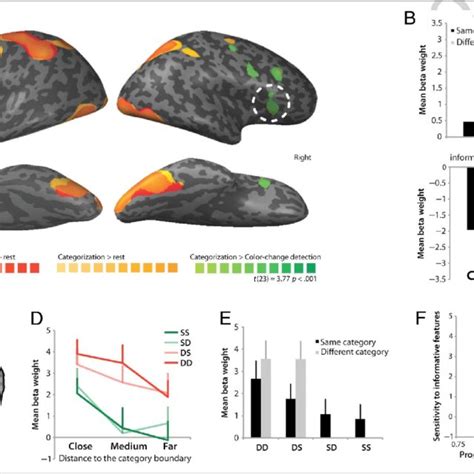 Fmri Results A Overlay Of The Group Averaged Activation Maps Of Two