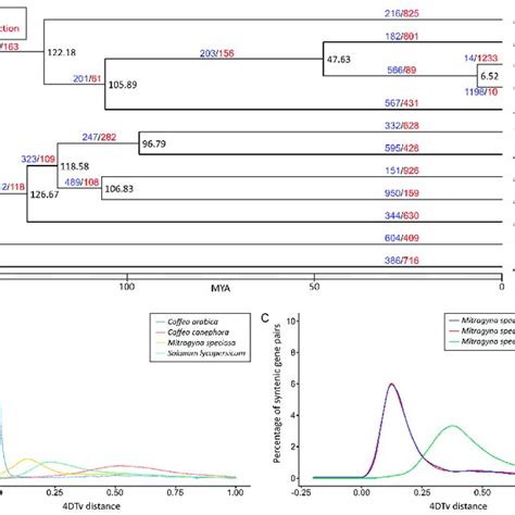 Comparative Genomics Of M Speciosa And Related Species A A