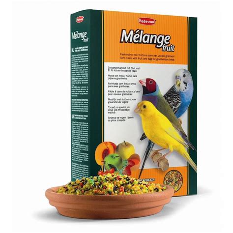 Корма для попугаев: обзор лучших кормов, рекомендации по выбору
