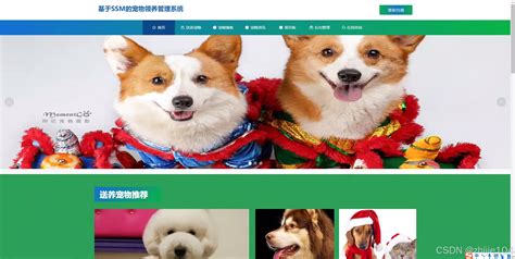 基于djangovuevue的宠物领养管理系统【开题报告程序论文】 计算机毕设 Csdn博客