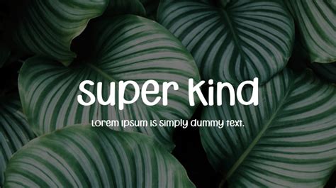 Super Kind Font Download Free For Desktop And Webfont