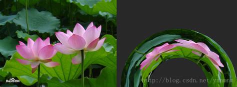 Shader2d 一些2d效果的shader实现2d图片滤镜实现 Csdn博客