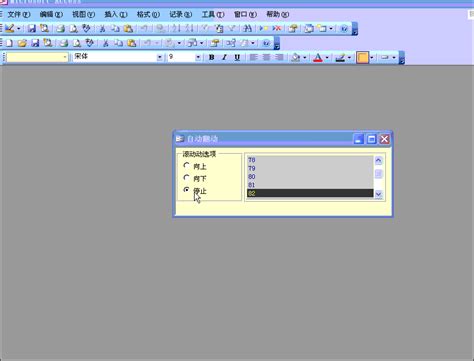 列表框数据太多时自动滚动示例【access软件网】