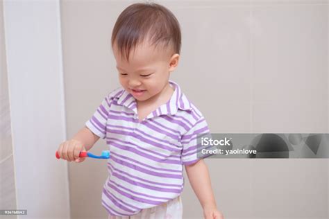 귀여운 작은 아시아 18 개월 1 년 오래 된 미소 유아 소년 아이 입고 보라색 셔츠 지주 칫 솔과 양치질을 배울합니다 2 3 살에 대한 스톡 사진 및 기타 이미지 Istock