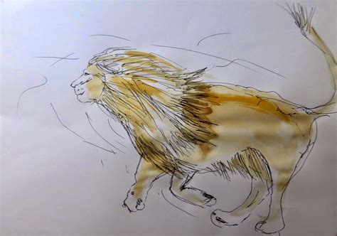 CAMERA EN KWAST Beweging Tekenen